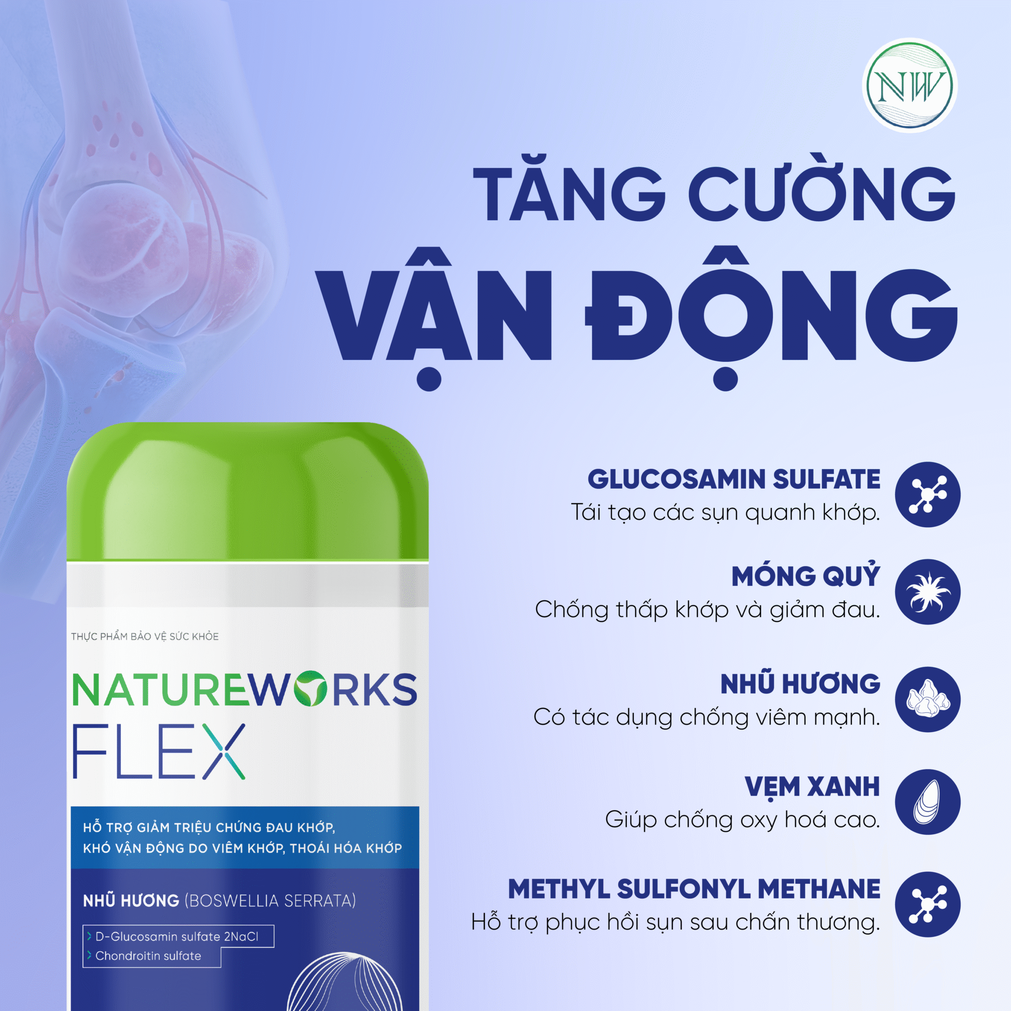 Viên Uống Bảo Vệ Xương Khớp Flex Giảm Viêm Khớp